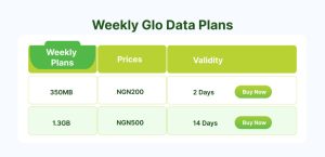 Glo Data Plan - mintyn